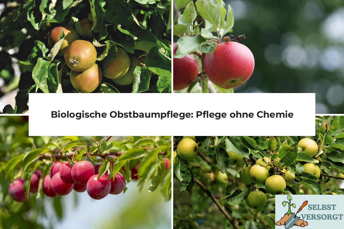 Biologische Obstbaumpflege: Pflege ohne Chemie | Selbst-Versorgt