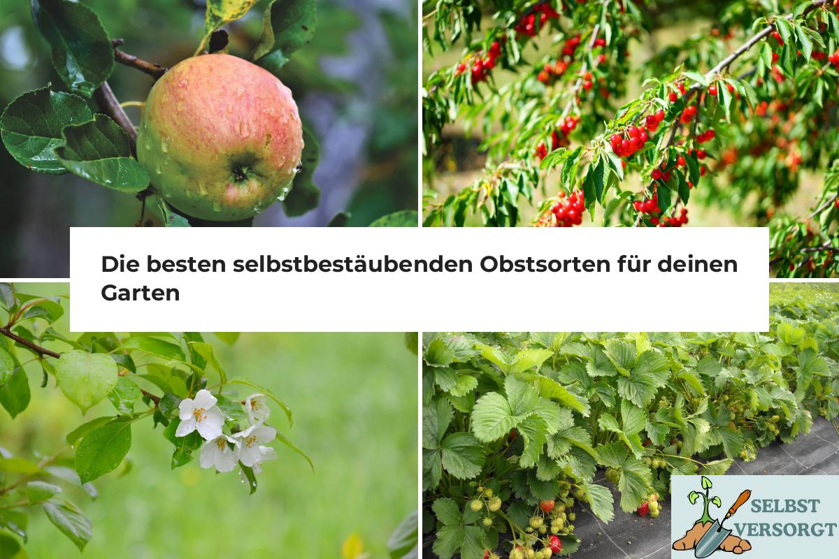 Die besten selbstbestäubenden Obstsorten für deinen Garten | Selbst-Versorgt