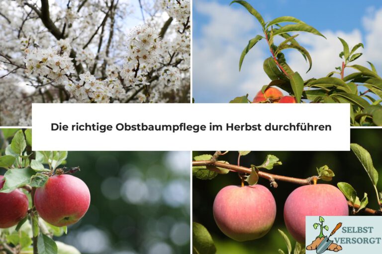 Obstanbau | Selbst-Versorgt