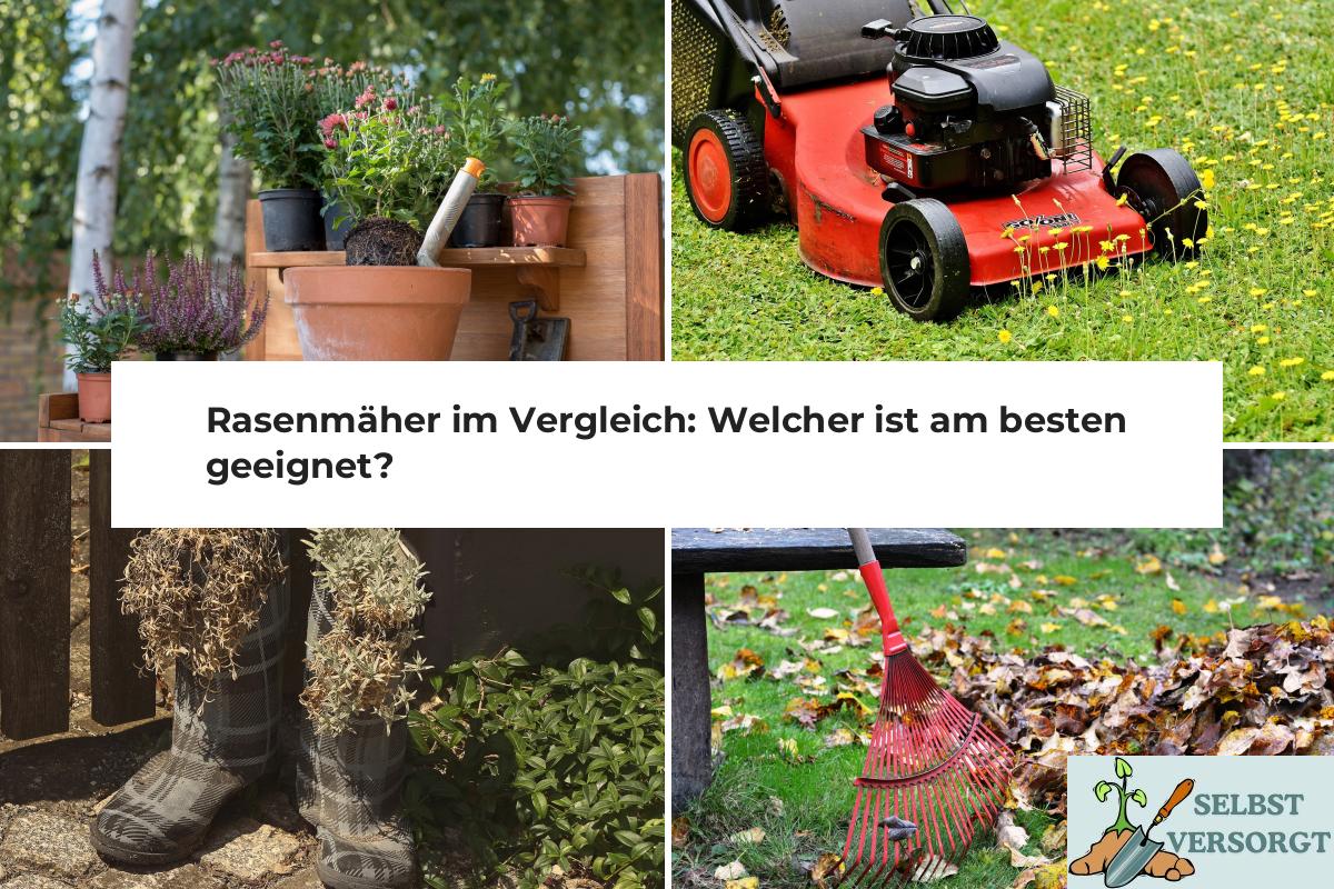 Verwunderlich Lwechsel Am Rasenmher Fotos