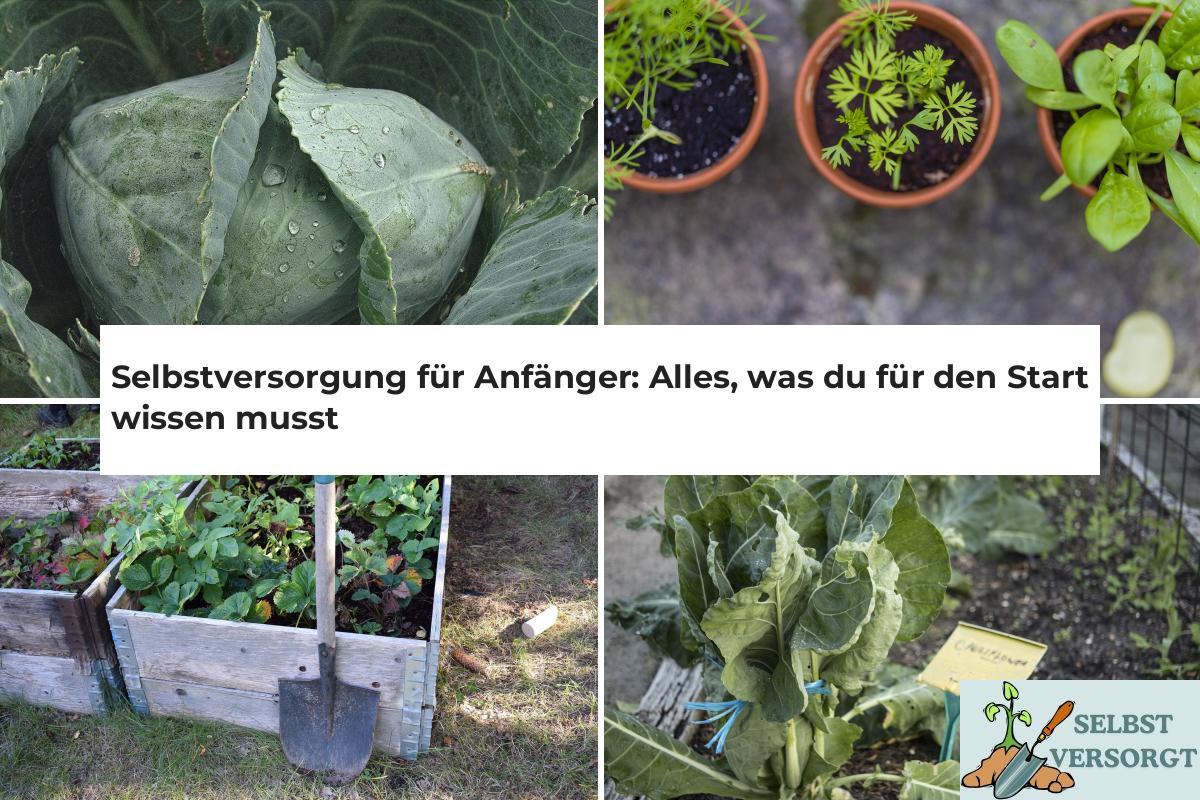Selbstversorgung für Anfänger: Alles, was du für den Start wissen musst ...