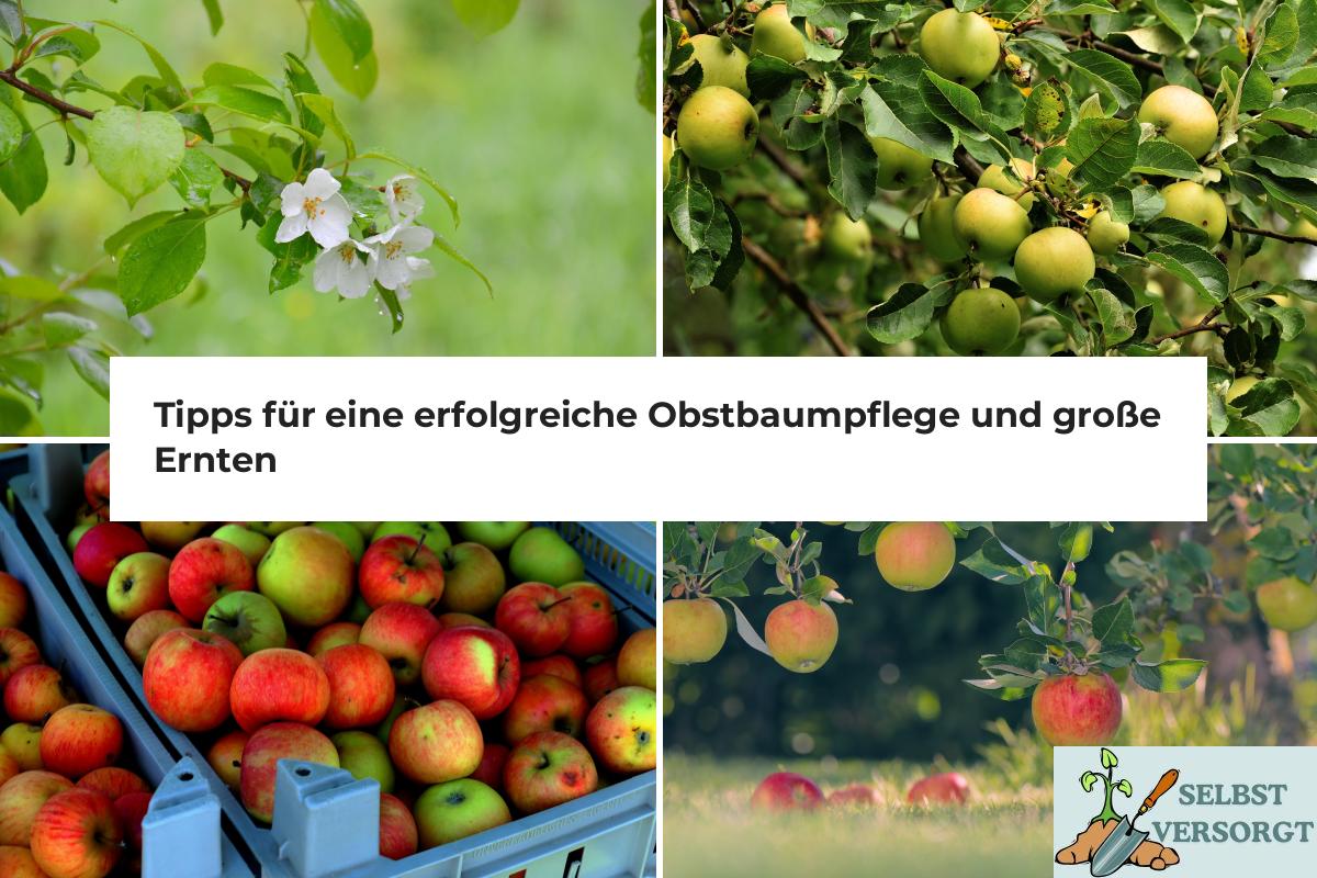 Obstanbau | Selbst-Versorgt