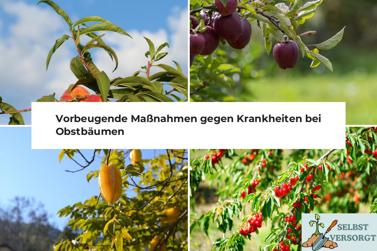 Obstanbau | Selbst-Versorgt